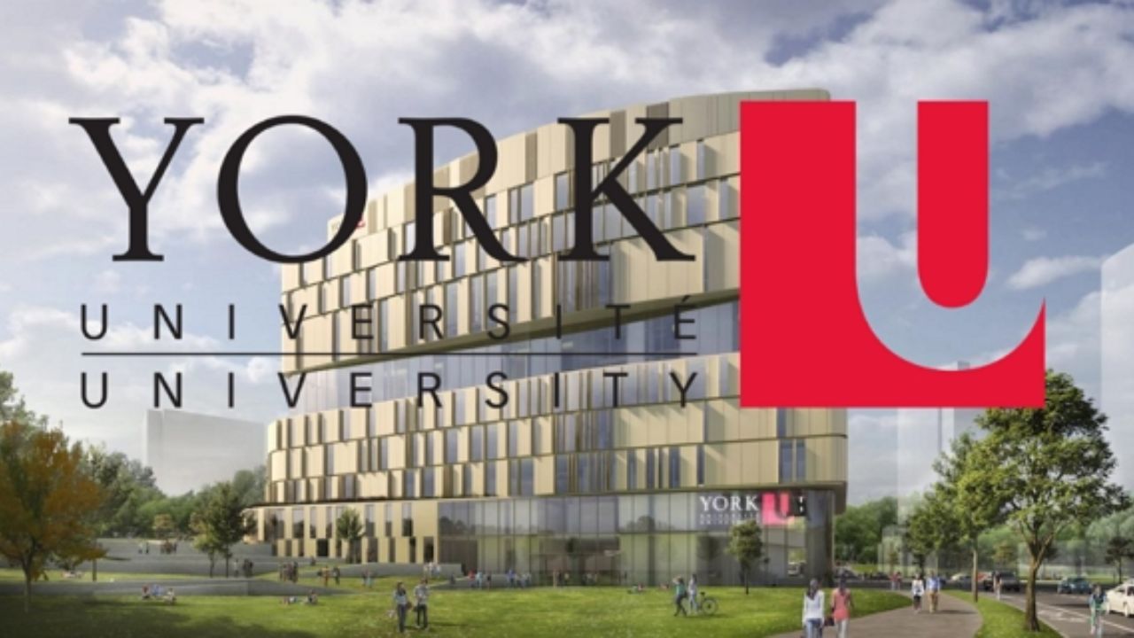2025 Goldsmiths University of London Scholarship | Fully Funded ... 2025 Goldsmiths University of London Scholarship | Fully Funded ...